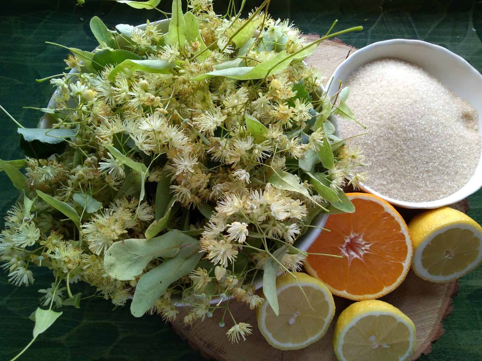 Lipový sirup - připravte si doma dle našeho receptu