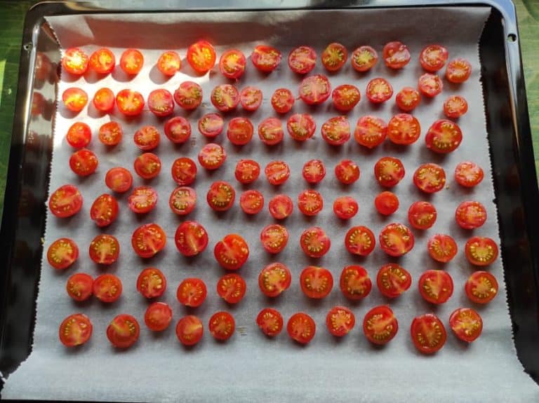 Sušená rajčata v troubě: účinky a recept na domácí výrobu